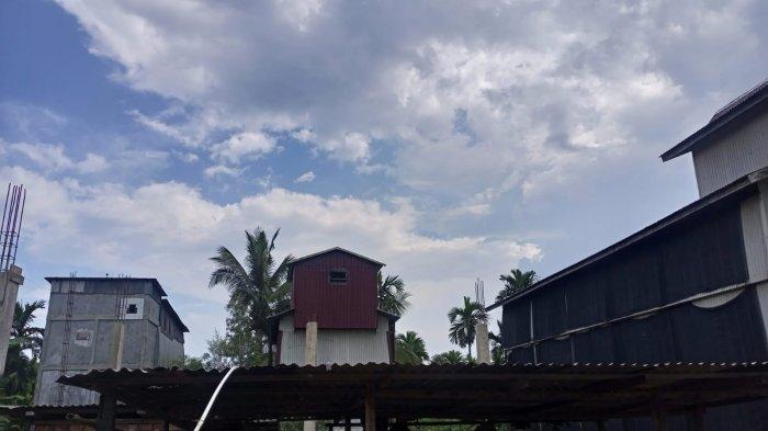 Sarang Walet Menjadi Usaha Menggiurkan di Kabupaten Tanjabtim, Ini ...