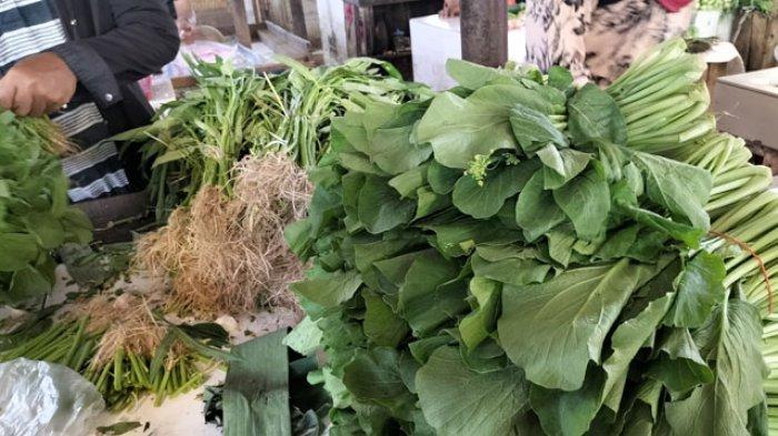 Harga Sayuran di Kota Jambi Naik, Ini Penyebabnya - Tribunjambi.com