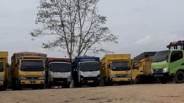 Ribuan Mobil Angkutan Batu Bara Masih Berpelat Luar - Tribunjambi.com