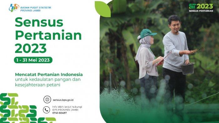 Sensus Pertanian 2023, Mencatat Pertanian Indonesia Untuk Kedaulatan ...