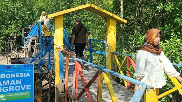 Libur Lebaran, Wisata Mangrove Pangkal Babu Diserbu Lebih dari 2 Ribu ...