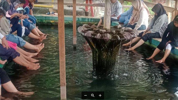 Serunya Terapi Ikan Kolam Wisata Desa Keluru Kabupaten Kerinci Jambi ...