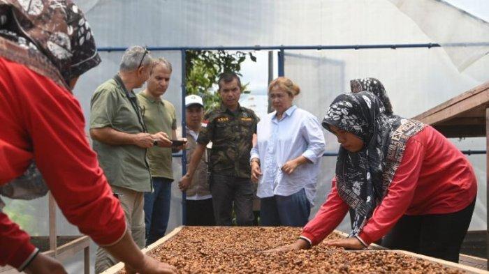Tiga Hari di Merangin, Tim Evaluator UGG Kepincut Rasa Kopi Jangkat dan ...