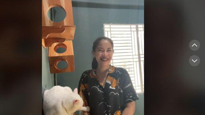 Viral di Tiktok, Kucing ini Marah saat Dibilang Jelek, Downlaod ...