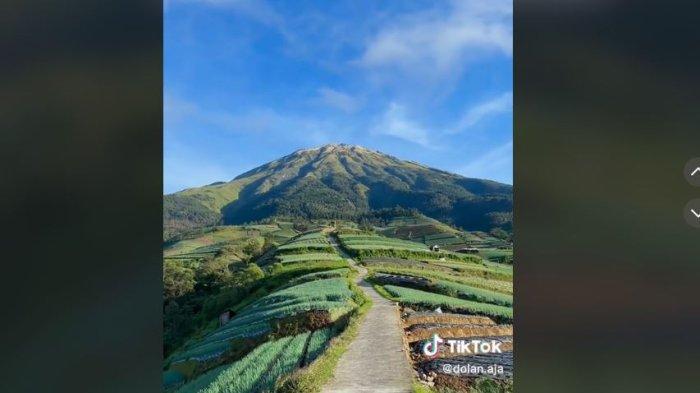 Viral di Tiktok, Keindahan Gunung Sumbing, Downlaod Videonya di Snaptik - Tribunjambi.com