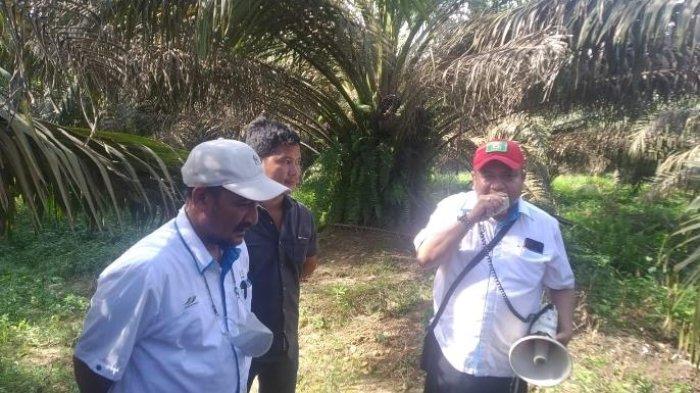 PTPN VI Berkontribusi Pada Keuntungan BUMN 2021 - Tribunjambi.com