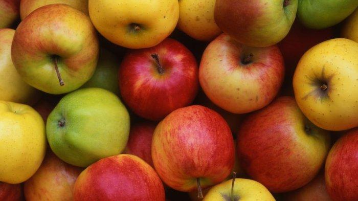 KABAR BAIK Apel Ternyata Menjaga Kesehatan Pencernaan, Jantung dan ...