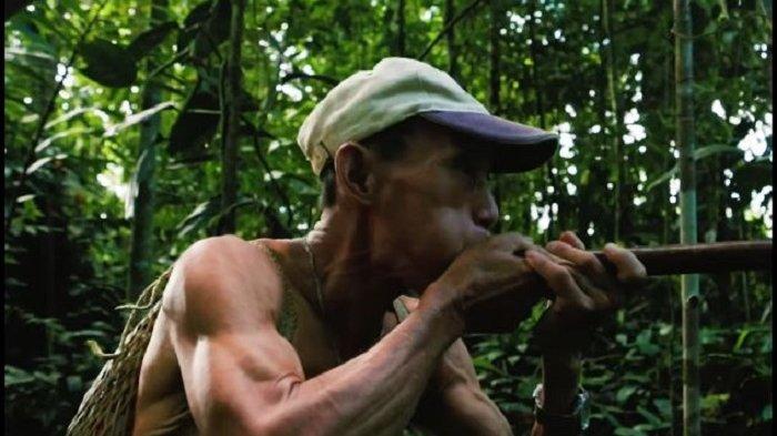 Mengenal Suku Penan, Gunakan Sumpitan yang Beracun untuk Berburu ...