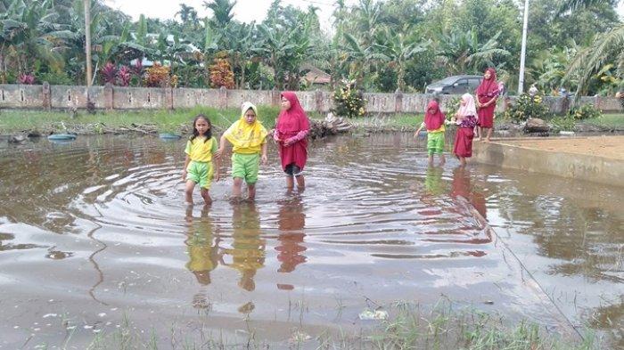 Curah Hujan Tinggi, BPBD Imbau 4 Kecamatan Ini Waspadai Banjir dan Pohon Tumbang - Tribunjambi.com