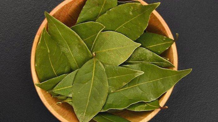 5 Manfaat Daun Salam untuk Kesehatan Tubuh, Bisa Melindungi Kesehatan ...