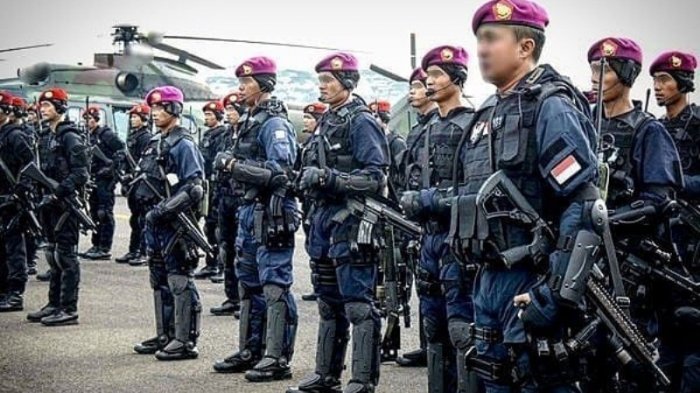 Gegara Denjaka, Pasukan Navy Seal Amerika Gentar Kala Pasukan Misterius TNI AL Itu Lakukan Aksi ...