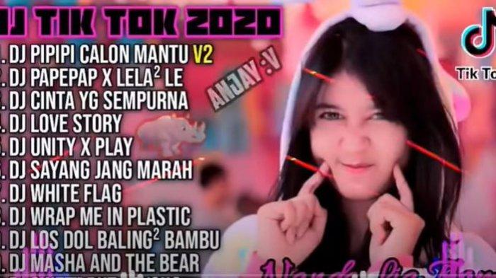 Download Lagu MP3 Calon Mantu DJ PIPIPI Joget TikTok Ada Juga Versi DJ Remix - Tribunjambi.com