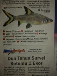 Hampir Punah, Tapi Belum Punah - Tribunjambi.com