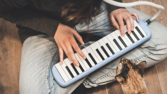 Mengenal Alat Musik Melodis dan Berbagai Contoh Alat Musik ...