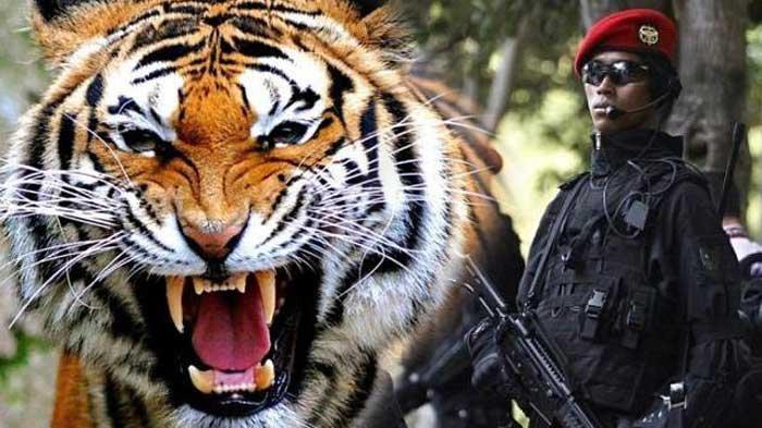 Lebih Sangar dari Kopassus, Penjaga Presiden Soekarno Ini Disebut ...