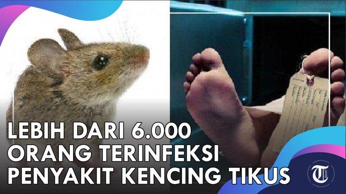 VIDEO: Awas Main di Air, Lebih 6.000 Orang Terinfeksi Penyakit Kencing ...
