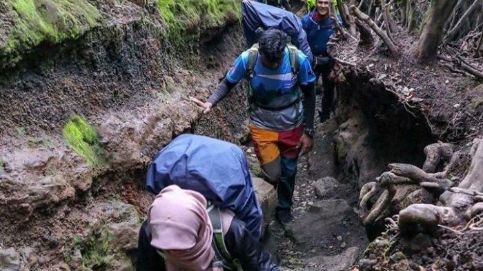 Puluhan Pendaki Dikabarkan Di Puncak Saat Gunung Merapi Sumbar Erupsi