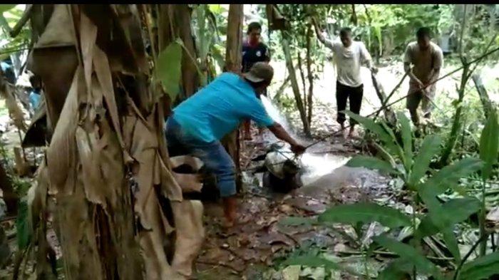 Tim Damkar Tebo Berhasil Evakuasi Kerbau Berbobot 3 Kuintal yang ...