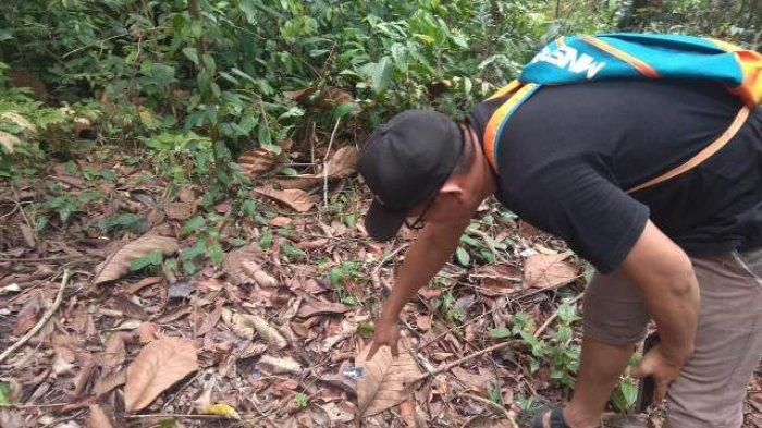 Objek Wisata Arboretum Rio Alif di Bangko Jadi Lokasi Tindak Asusila ...