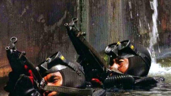 Den Harin, Pasukan Khusus Indonesia yang Keberadaannya Misterius ...