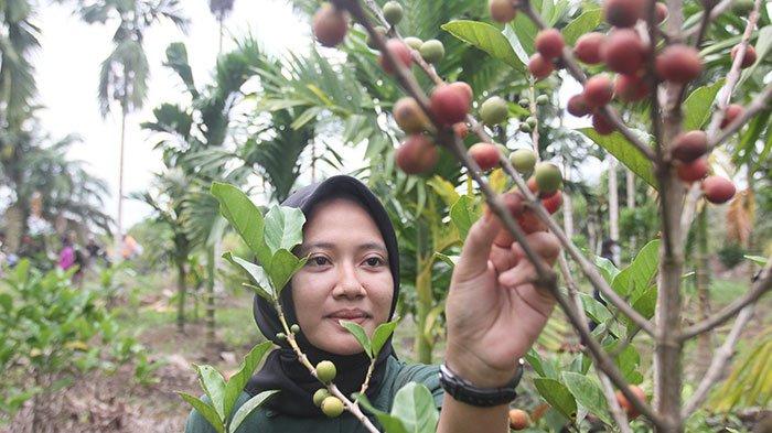 Berjuang Menjaga Alam, Peluh dan Asa di Hutan Lindung Gambut Sungai Buluh - Tribunjambi.com