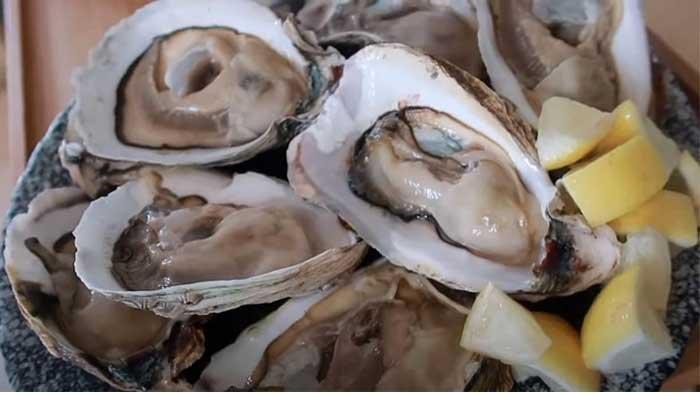 Manfaat Tiram Makanan Laut Kaya Nutrisi, Membantu Menurunkan Berat ...