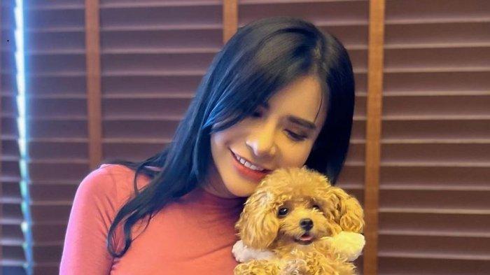 Maria Vania lebih Tertarik Main Film karena Hal ini - Tribunjambi.com