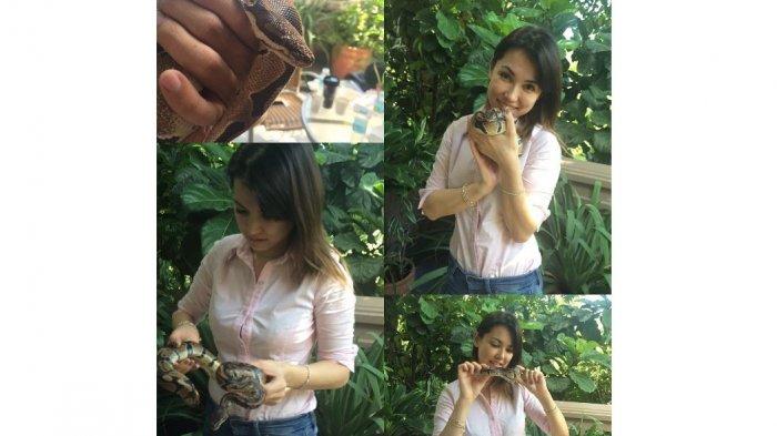 Penampilan Terbaru Miyabi Berpakaian Sopan, setelah Pensiun Malah Tambah Laris dan Terkenal ...