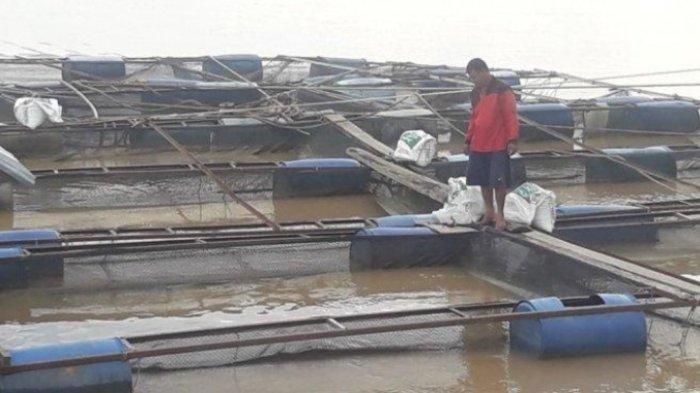 Dinas PPP Kabupaten Batanghari Anggarkan Rp1,6 M untuk Bantu Petani ...