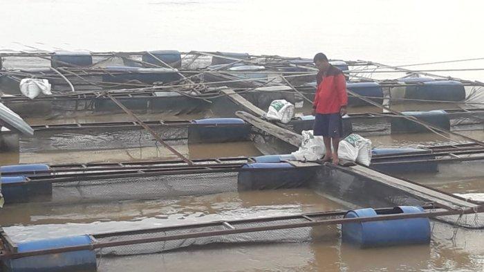 Kerambah Warga Jaluko sudah 6 Kali Ditabrak Tongkang Batu Bara, Petani ...