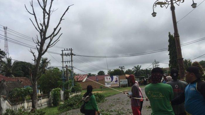 Pohon di Dua Jalan Muara Bulian Dinilai Membahayakan - Tribunjambi.com