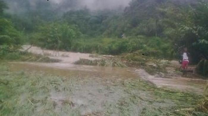4 Hari Terendam Banjir, 15 Hektare Sawah Gagal Panen - Tribunjambi.com
