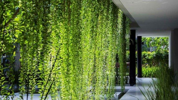 Cara Merawat 'Janda Merana' supaya Rumah Nyaman, Lee Kwan Yew Bikin ...