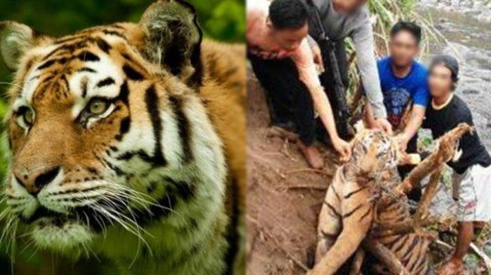 Terungkap Doa yang Dibaca Katemin Hingga Allah SWT Selamatkan Dari ...