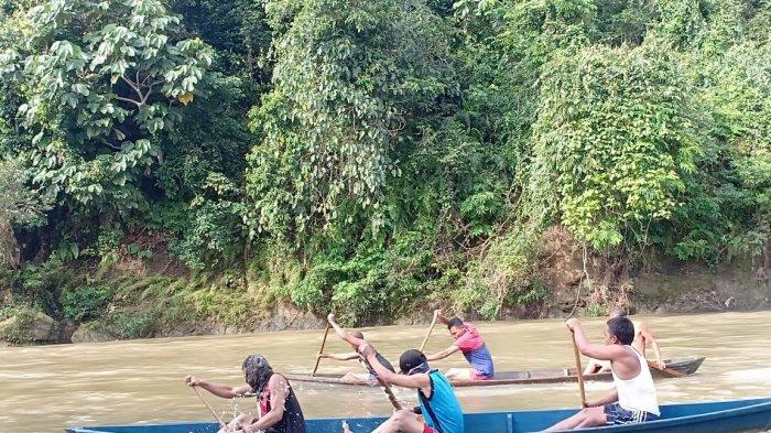 Tradisi Pacu Biduk di Sarolangun, Merambah ke Desa, Antusias Warga ...