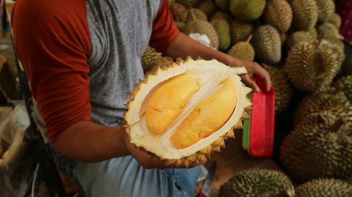 LELANG Buah Durian 'Kanyao' Asal Thailand Laku Rp 681 Juta, Pembeli Pengusaha Lokal Kaya Raya ...