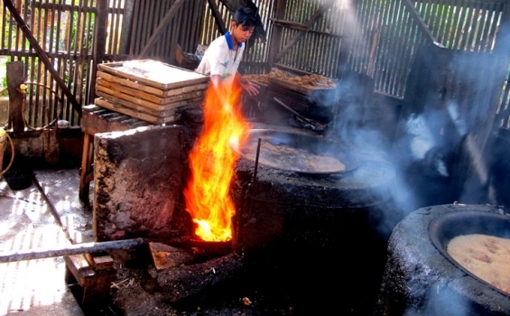 Tahu Kuring Telah Bertahan 19 Tahun - BERITA FOTO - Tribunjambi.com