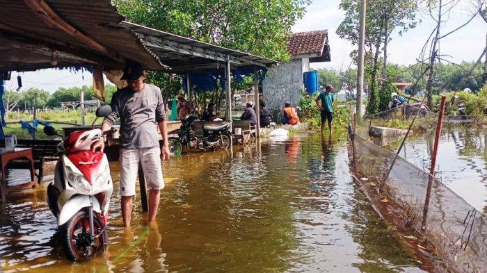 Keluh Pilu Warga Tunggulsari Pati, Hidup dalam Bayang-bayang Ancaman Banjir Rob: Sudah 5 Tahun ...