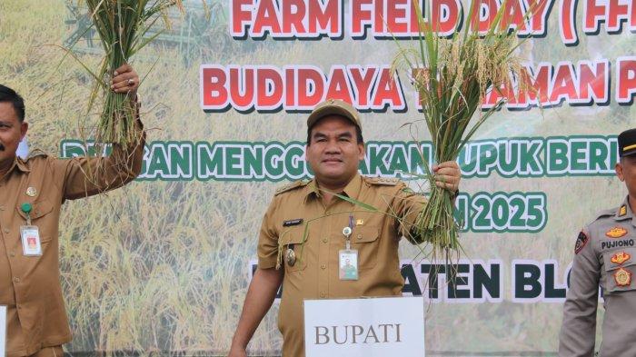 Panen Padi Varietas Unggul, Bupati Blora Dorong Kedaulatan Pangan Lewat Sekolah Lapang ...