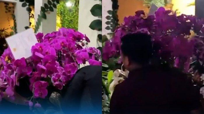 Arti Bunga Anggrek Ungu, Dikirim Presiden Prabowo saat Jokowi Ulang ...