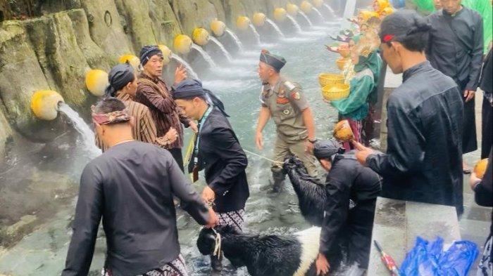 Tradisi Tahunan Ruwat Bumi Guci Tegal Mandikan Wedus Kendit Sampai ...