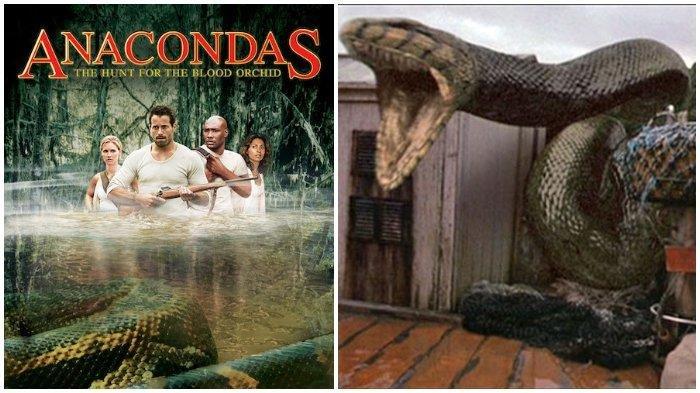 Sinopsis Film Anacona: Sekelompok Kru Film Terjebak di Hutan & Diteror ...