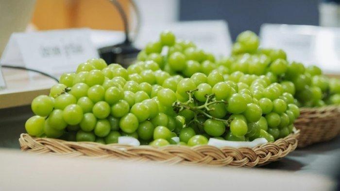 Anggur Shine Muscat Banjiri Pasaran Indonesia, Ini 5 Cara Mengenali ...