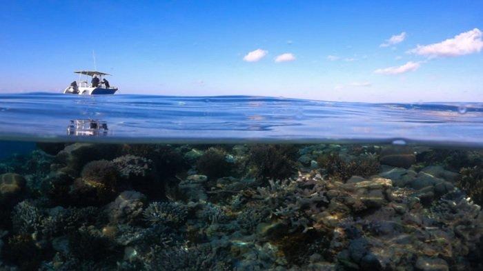 Penampakan Ashmore Reef Pulau Pasir di NTT yang Diklaim Australia Bikin ...