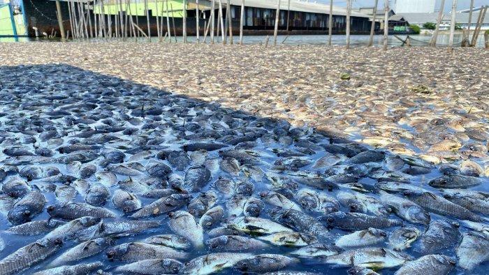 "Ikan Saya Mati Semua" Cerita Nelayan Sayung Demak yang Kalah oleh Rob ...