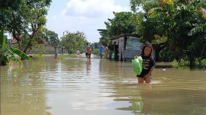 Banjir Genangi Dua Desa di Grobogan, Ratusan Rumah dan Puluhan Hektare ...