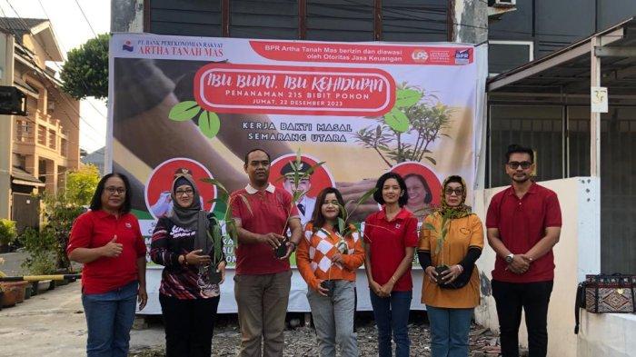 Percantik Wilayah Semarang Utara, Sebanyak 215 Bibit Pohon Tabebuya ...