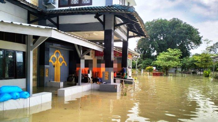 Banjir Grobogan Meluas! 17.997 Rumah Terdampak dan 909,5 Hektare Lahan Pertanian Terendam ...