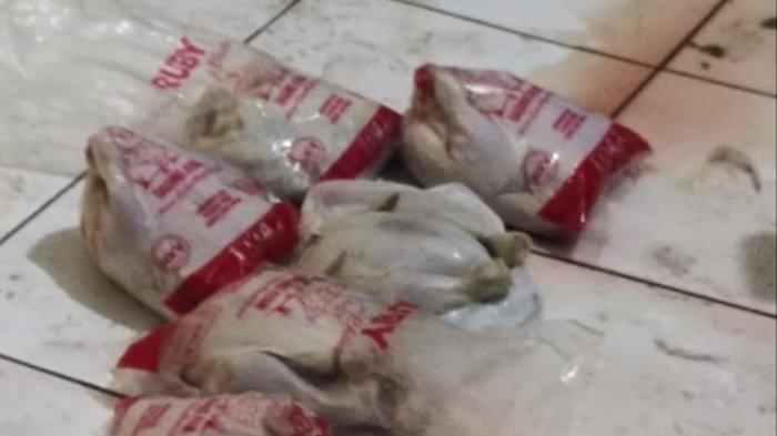 Viral Bapanas Salurkan Daging Ayam Busuk Untuk Keluarga Stunting, Sekda ...