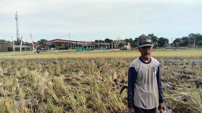 Budiwanto Beruntung, Pembangunan Talud Dan Cor Jalan Oleh Satgas TMMD ...